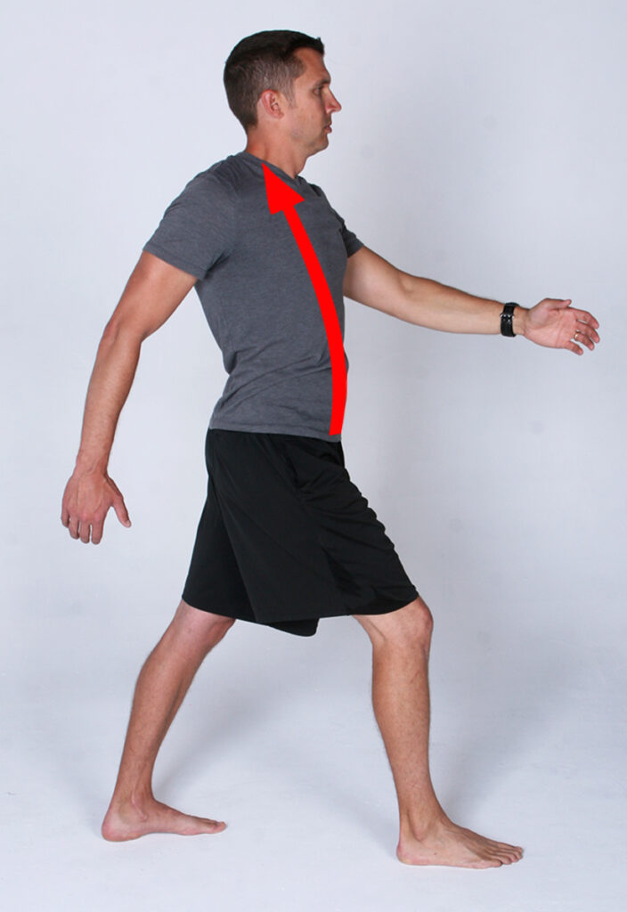 Ab Training and Back Pain - FitPro Blog