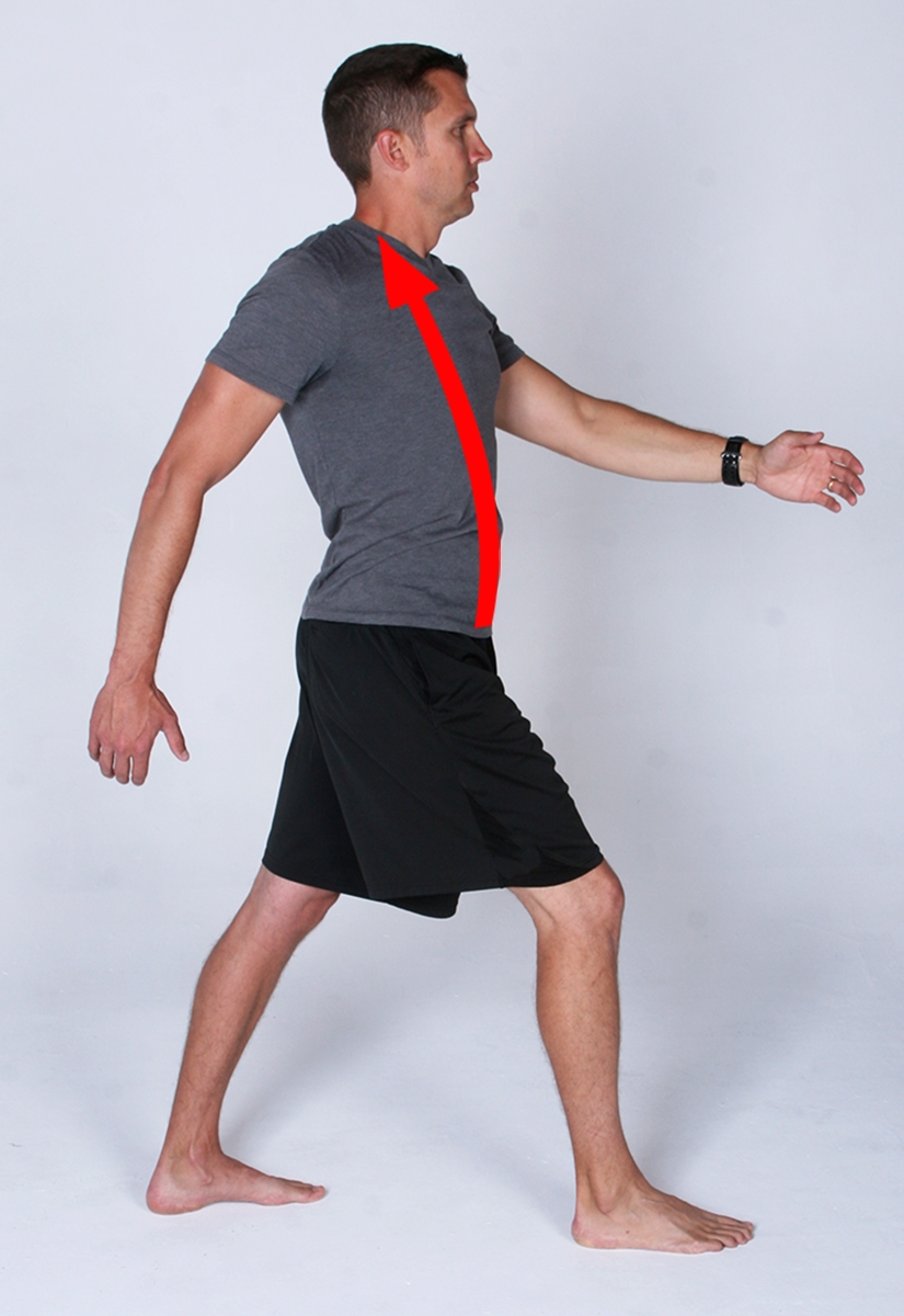 Ab Training and Back Pain - FitPro Blog