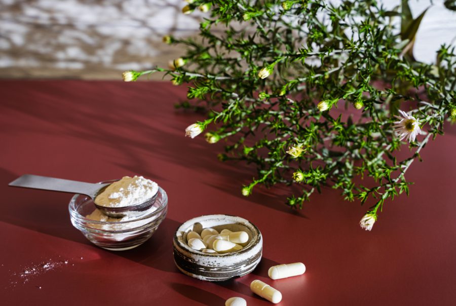 Nutritional Considerations For The FitPro with Dr Linia Patel | FitPro Blog