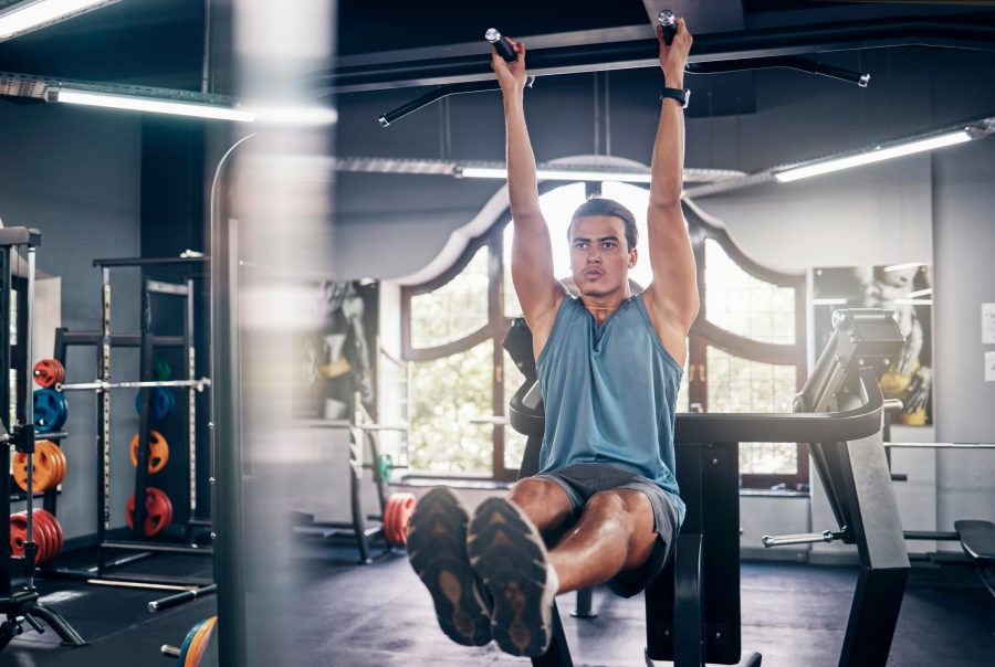 The Royal from Qatar - FitPro Blog