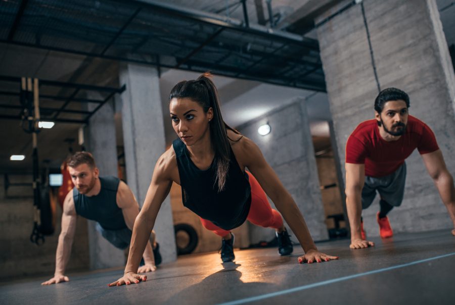 The Royal from Qatar - FitPro Blog