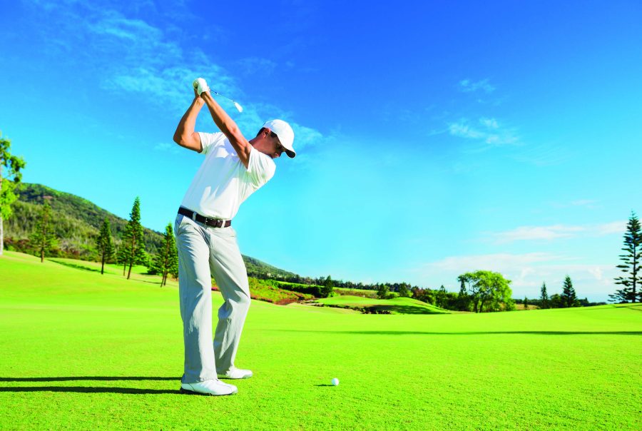 The Royal from Qatar - FitPro Blog